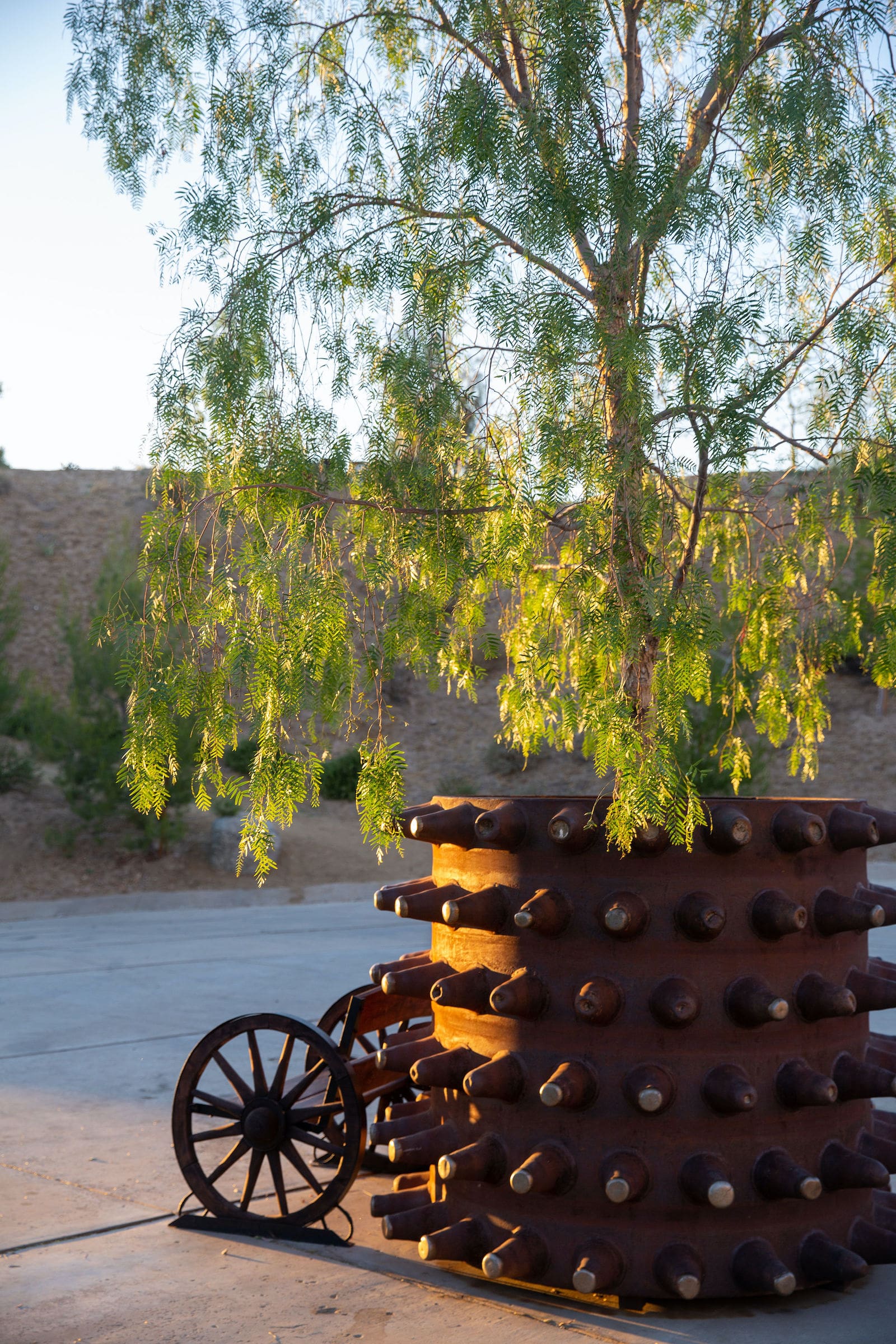 Blomgren Ranch | Anoush