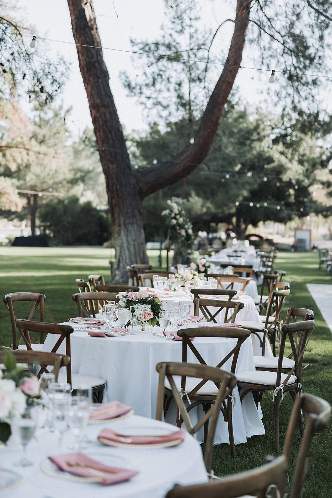 Blomgren Ranch | Anoush